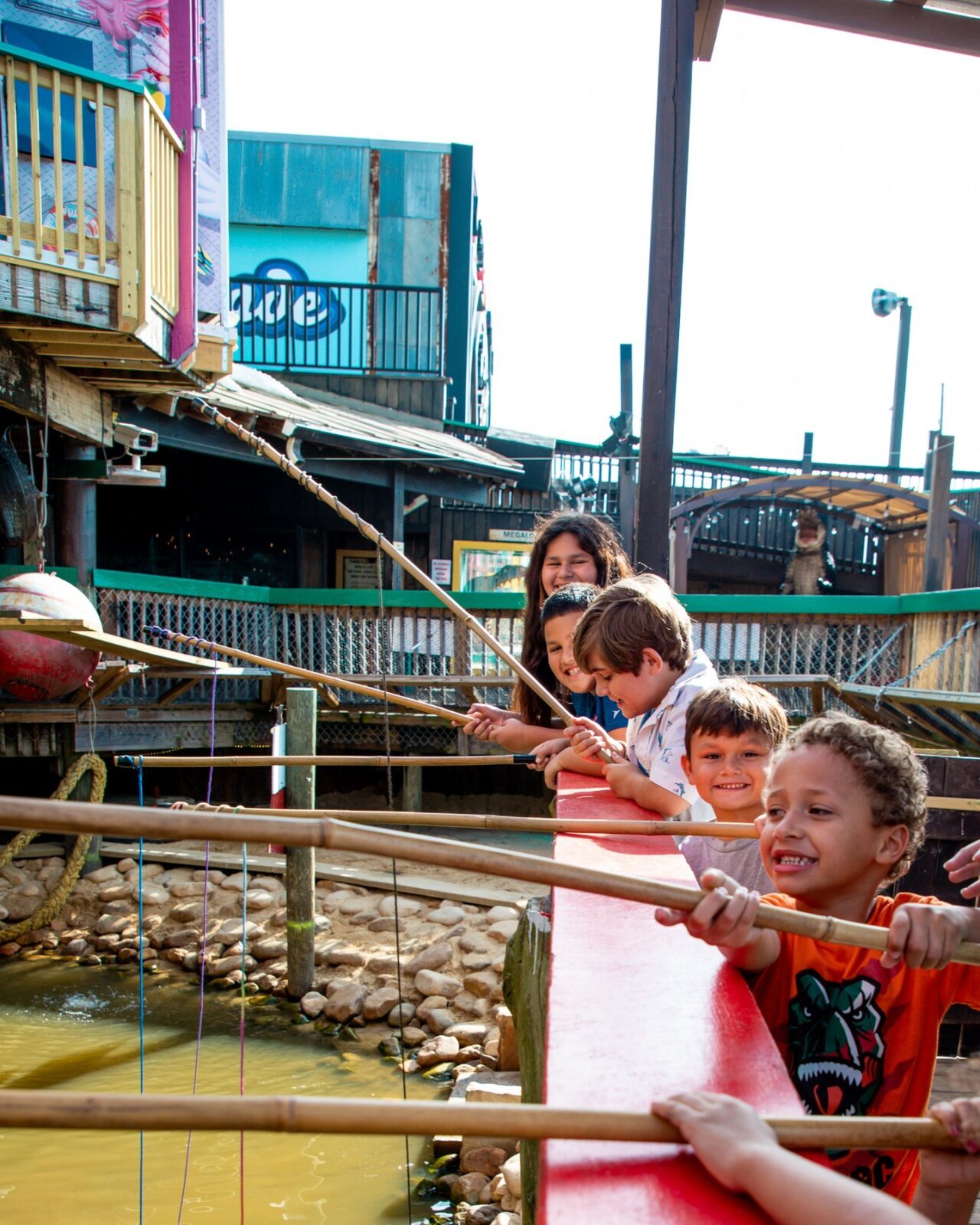 Feeding The Alligators | Gator Beach - World's Greatest Alligator Park